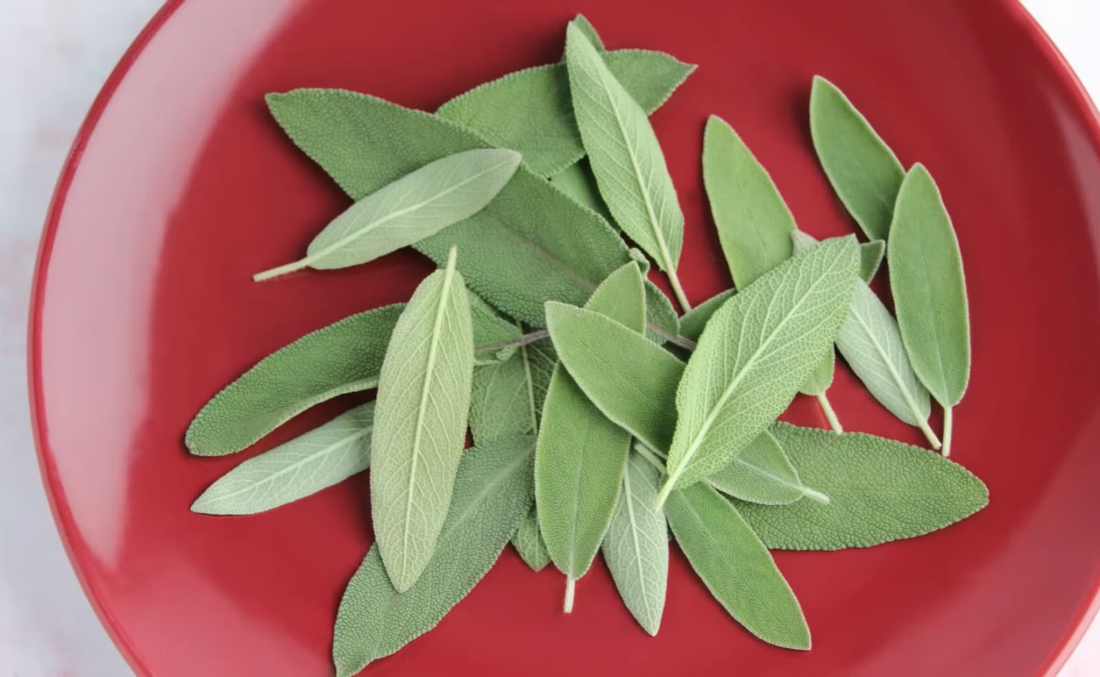 Fresh vs Dried Sage: The Differences & Best Uses